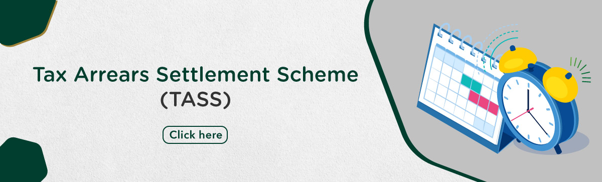 PAYE Return - Mauritius Revenue Authority